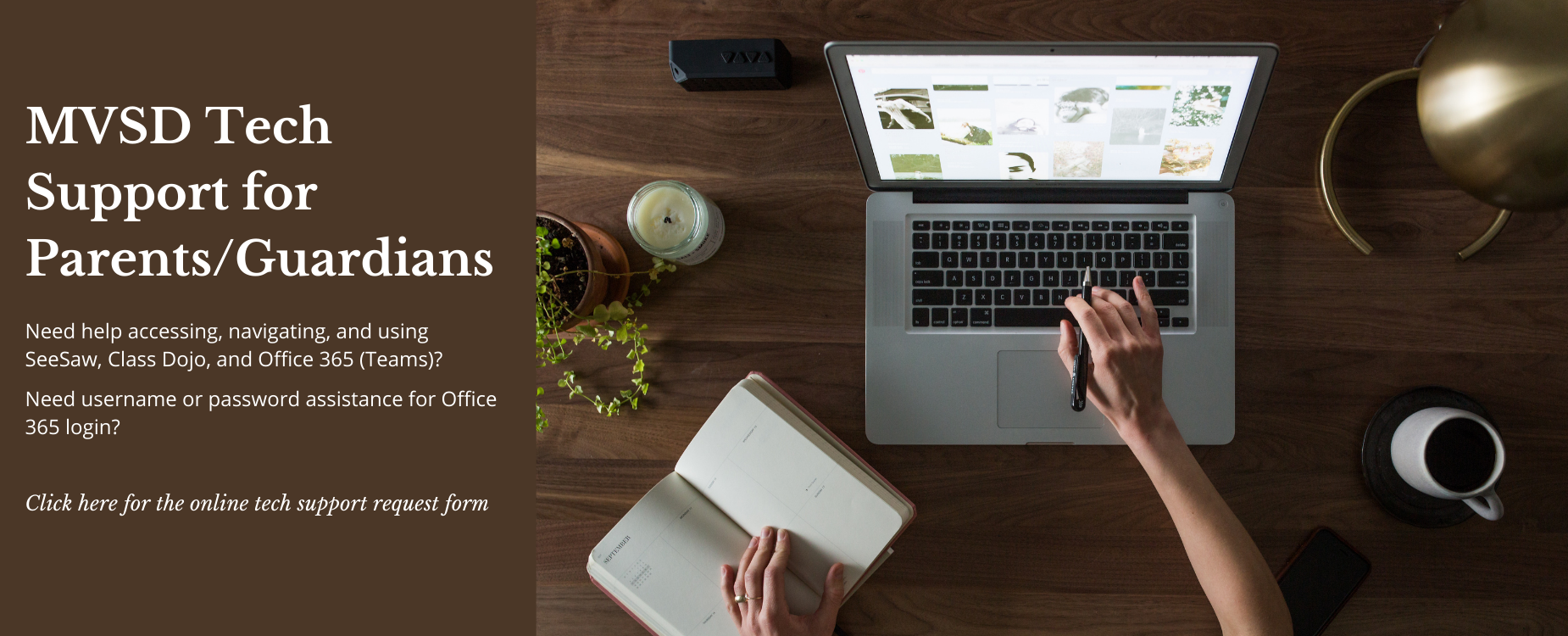 Mountain View School Division