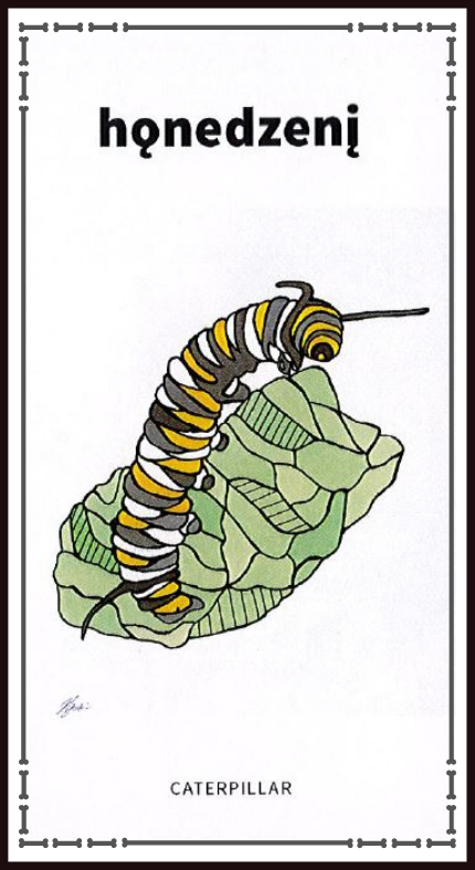 Learning with Animals – Language – Athabasca Denesuline Education Authority