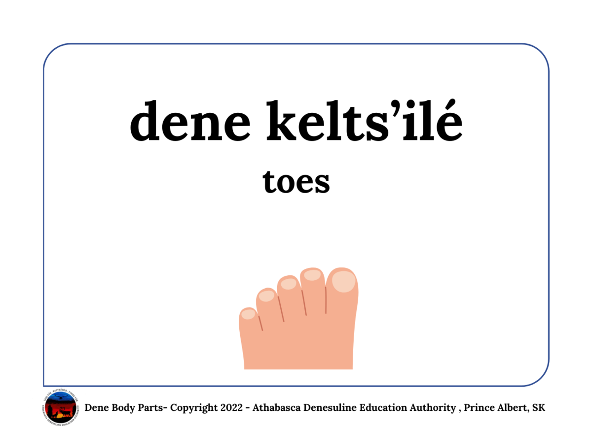 Body Parts – Language – Athabasca Denesuline Education Authority