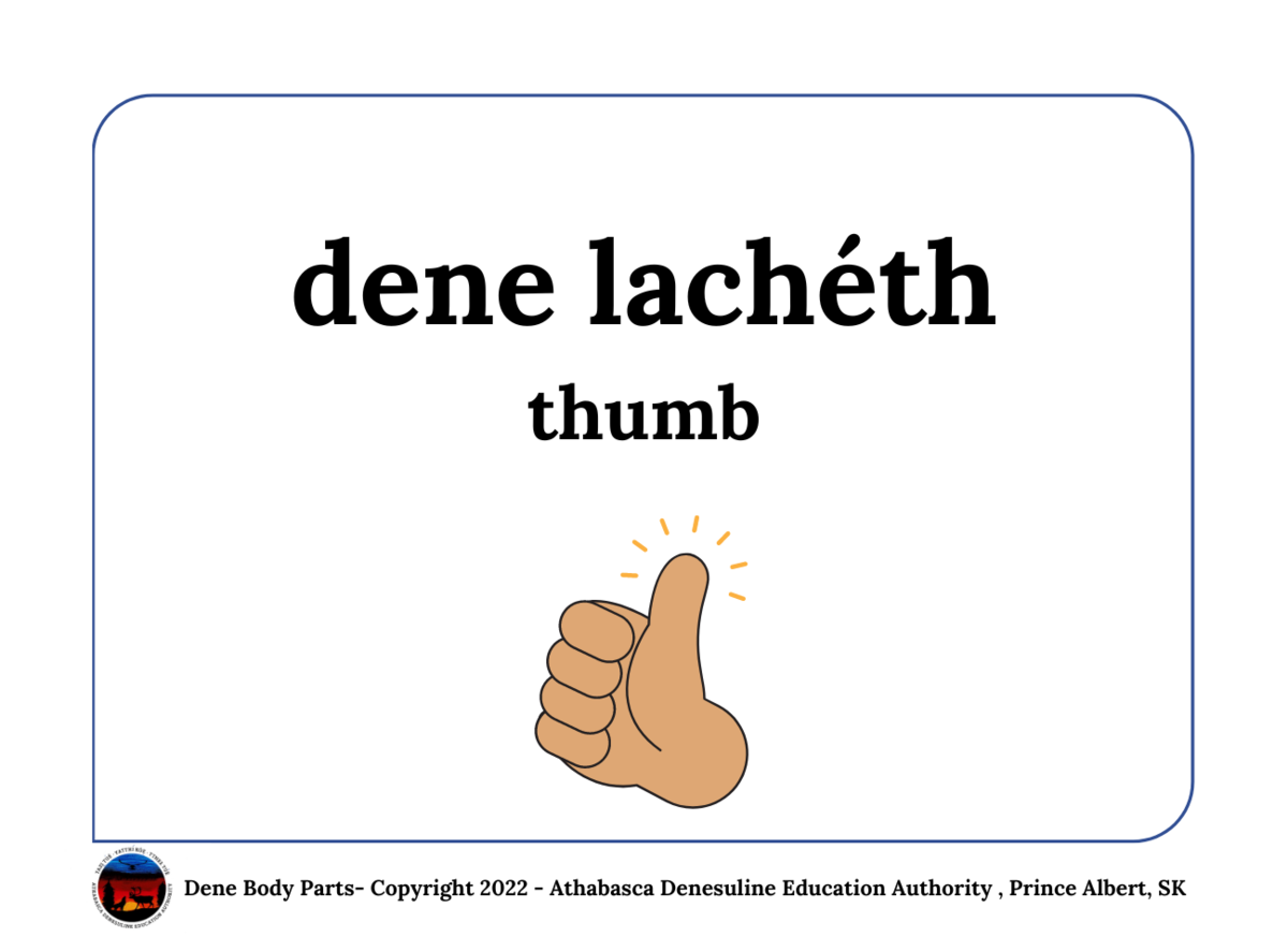 Body Parts – Language – Athabasca Denesuline Education Authority