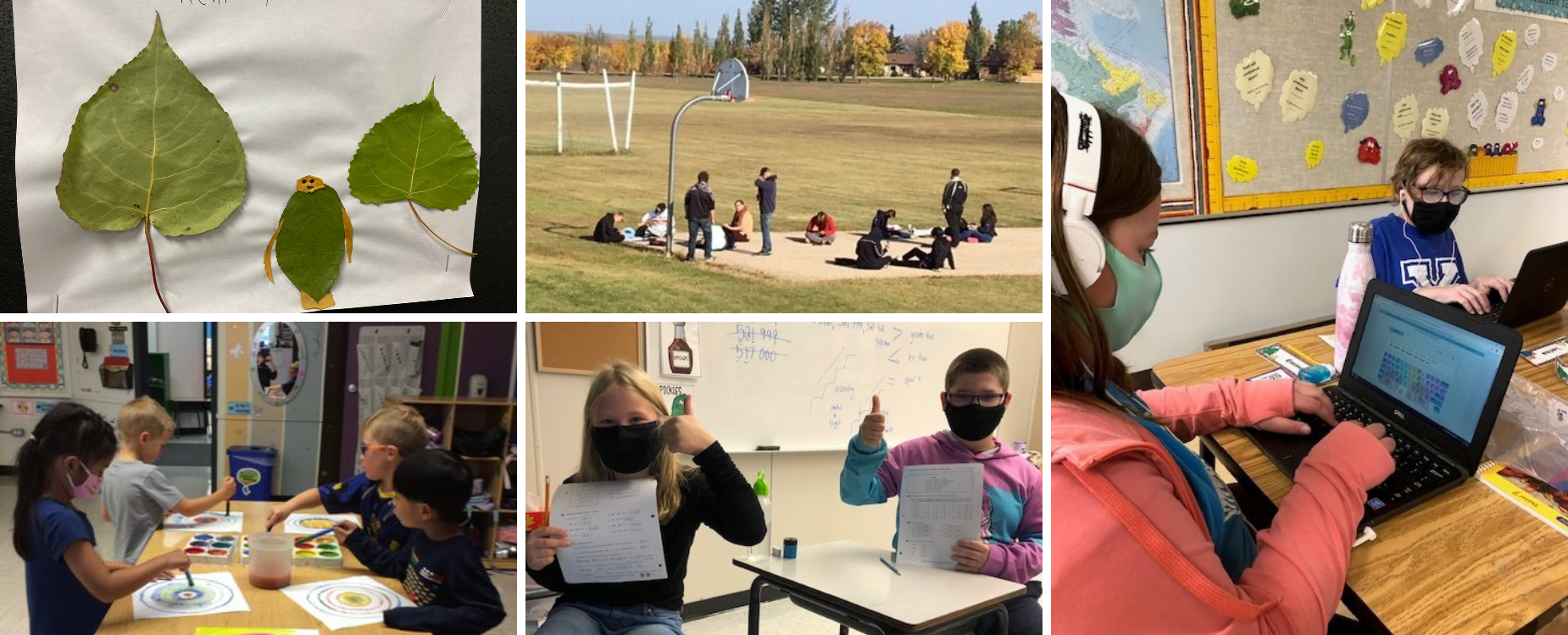 Mountain View School Division