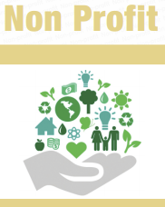 Non-Profit (Specialist High Skills Major) – Specialist High Skills ...