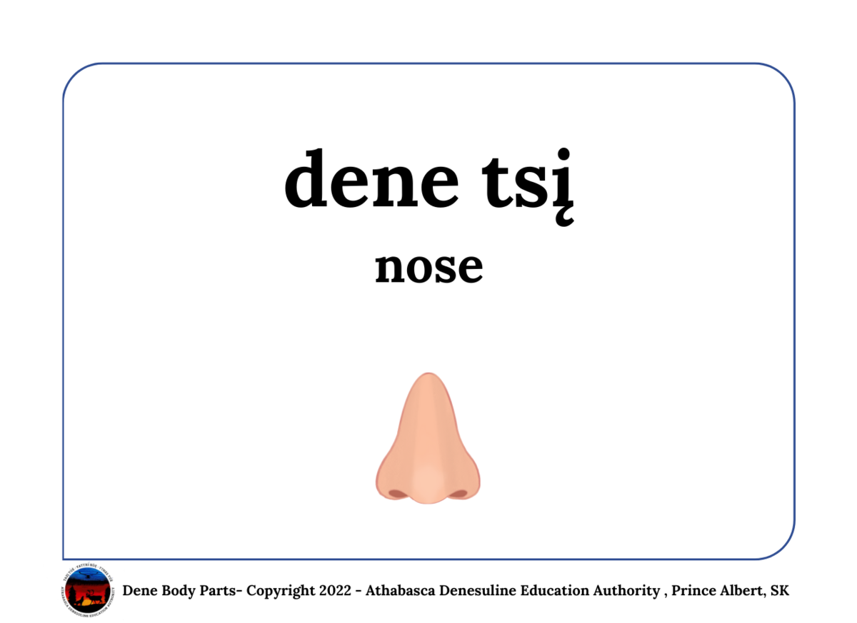 Body Parts – Language – Athabasca Denesuline Education Authority