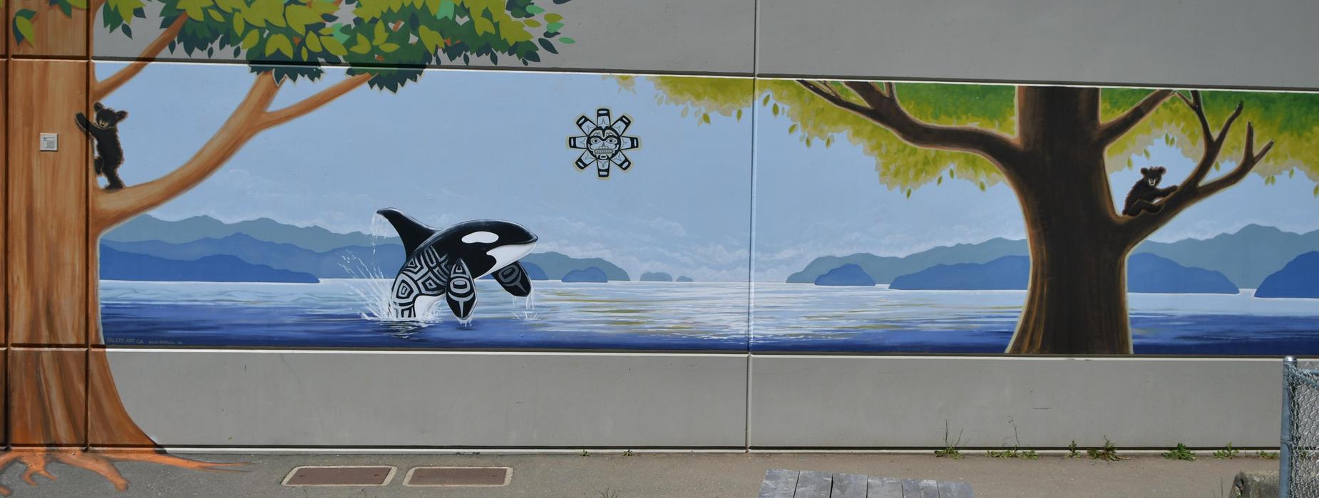 Comox Valley Schools