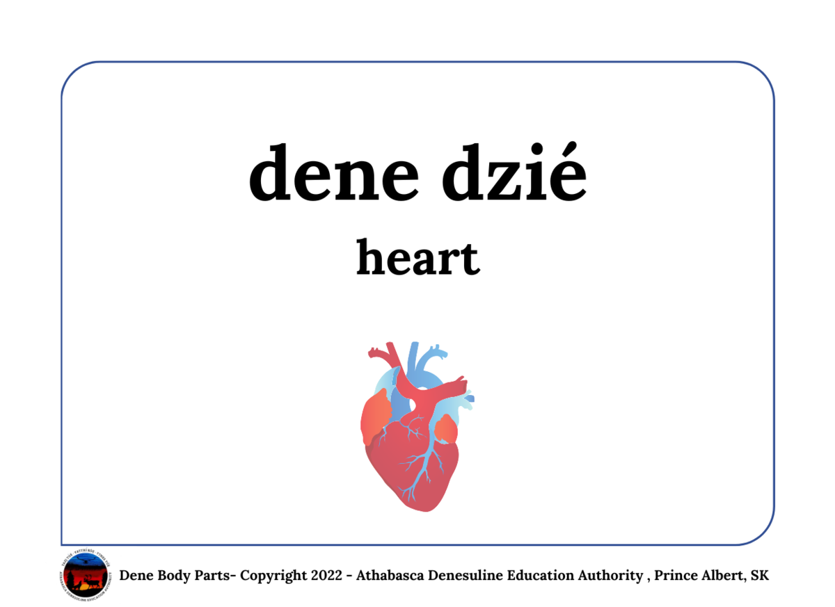 Body Parts – Language – Athabasca Denesuline Education Authority