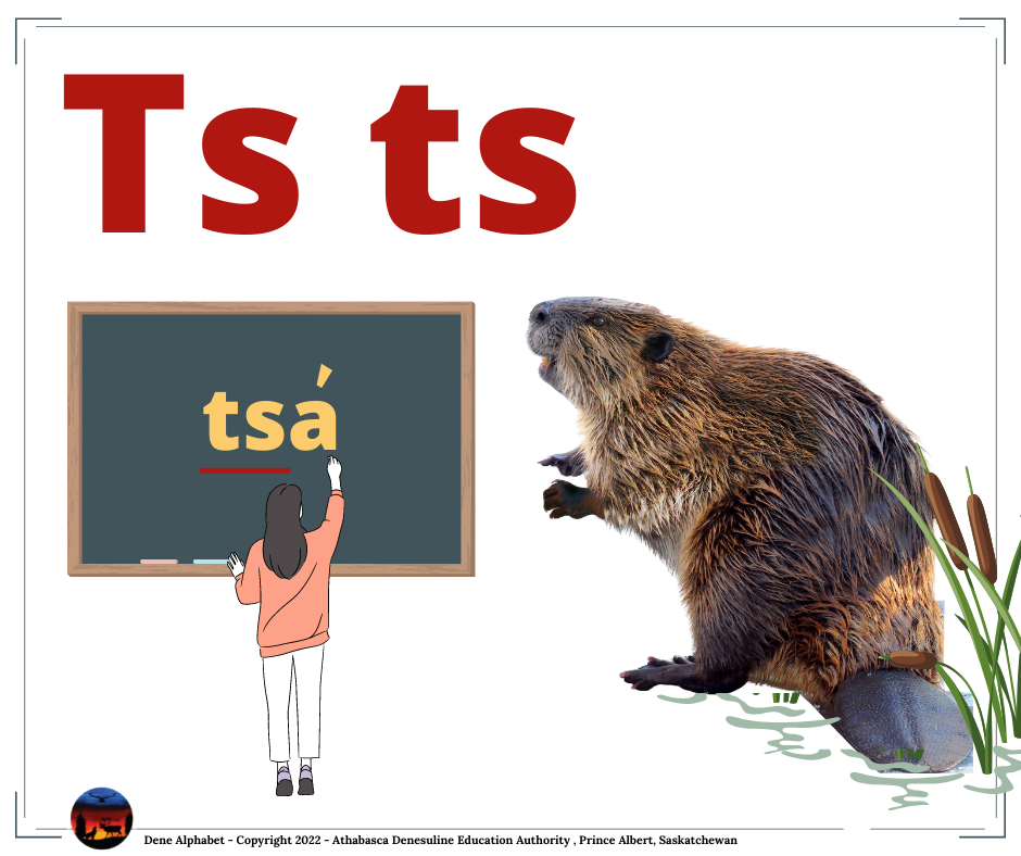 Letters. Words – Language – Athabasca Denesuline Education Authority